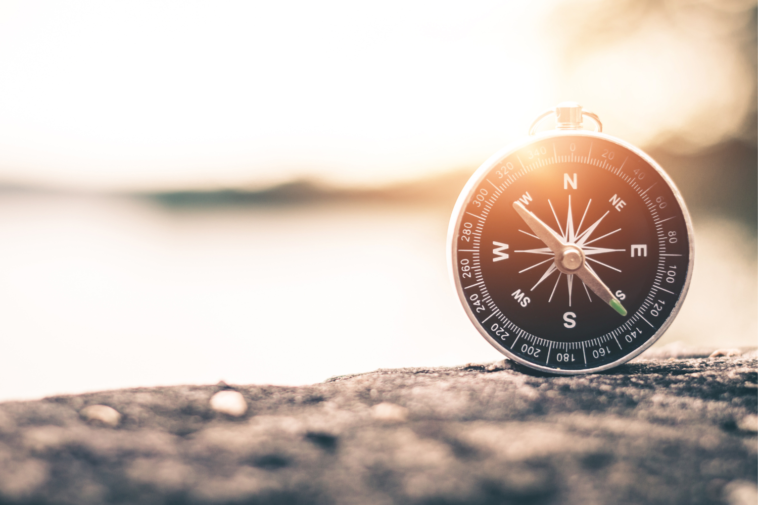 Lowenstein Receives Compass Award from Leadership Council on Legal ...